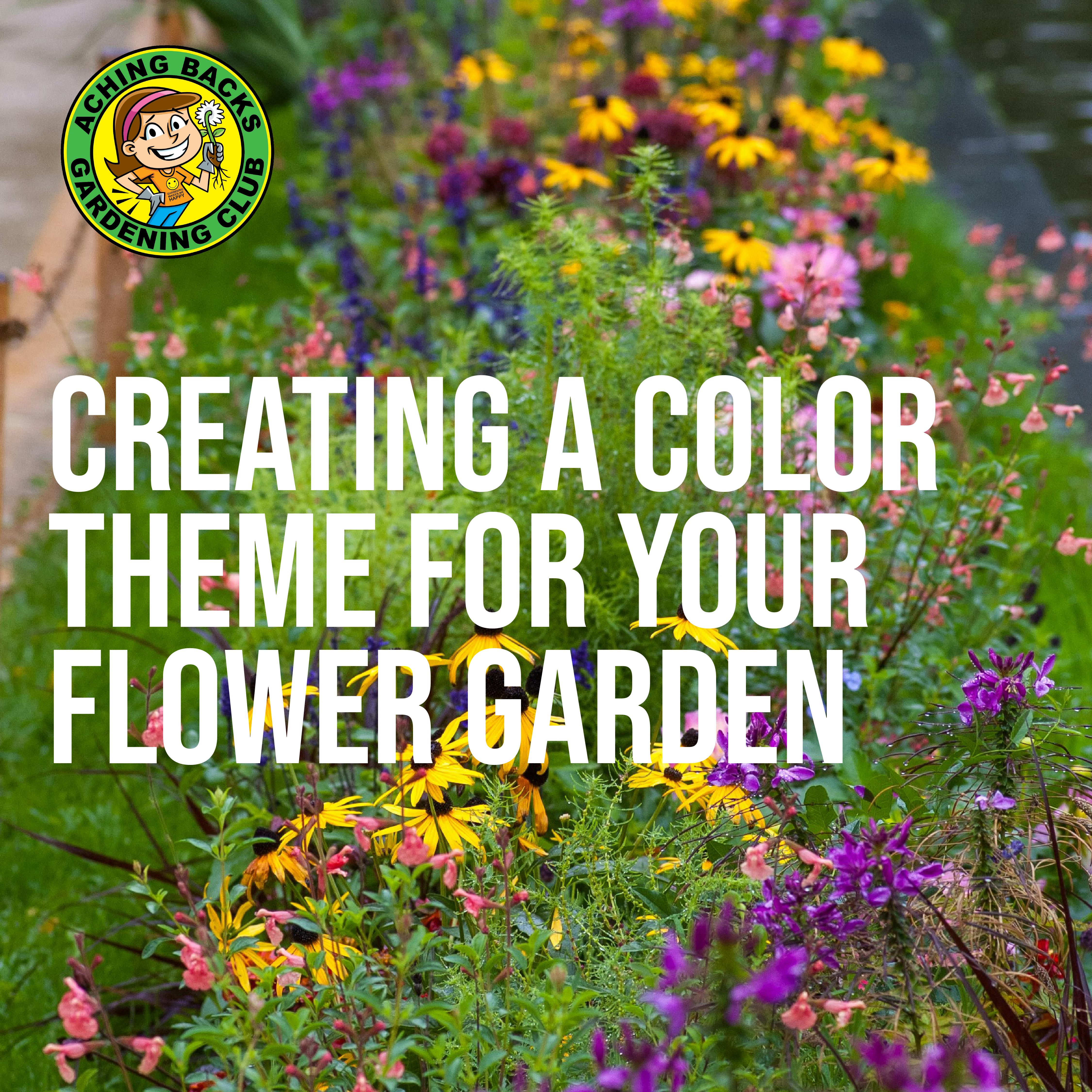 Creating a Color Theme for Your Flower Garden – Aching Backs Gardening Club